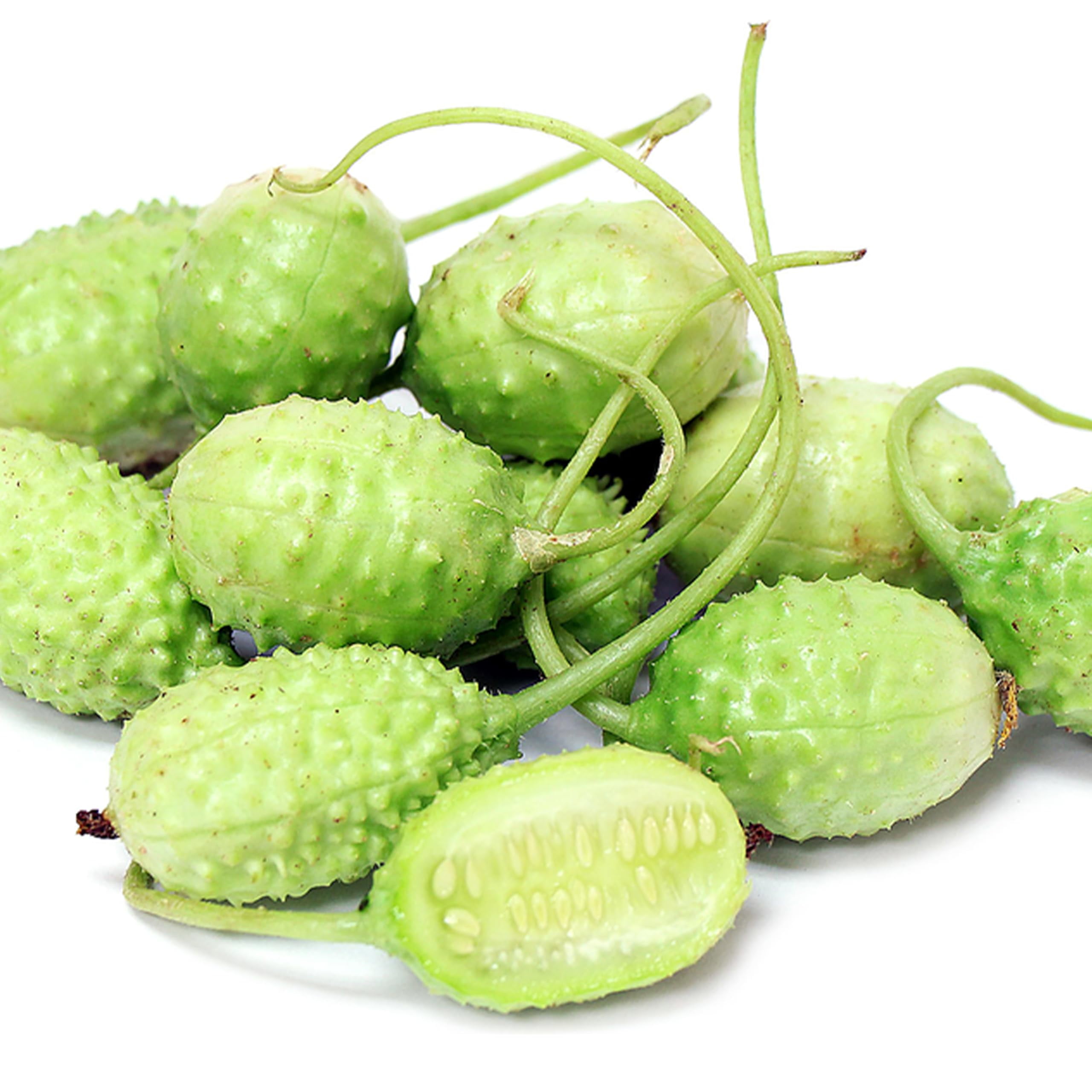 KVITER 100 Gherkin West Indian Cucumber ZLK1 Seeds for Planting ...