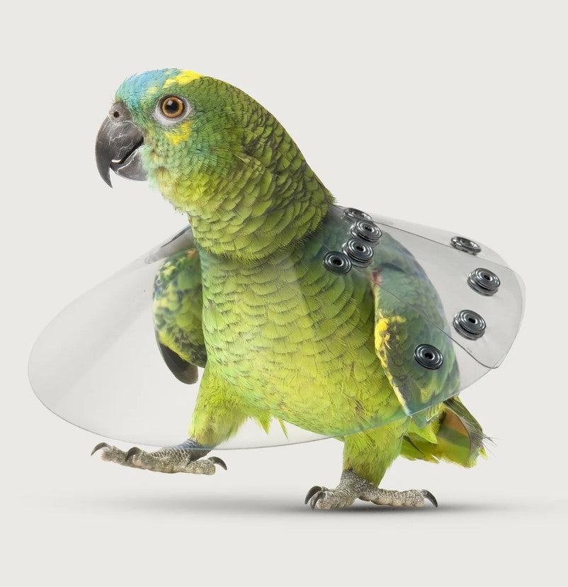 KVP Elizabethan Bird Saf-T Avian Cone Neck E-Collar 3.5"-4" 10 ...