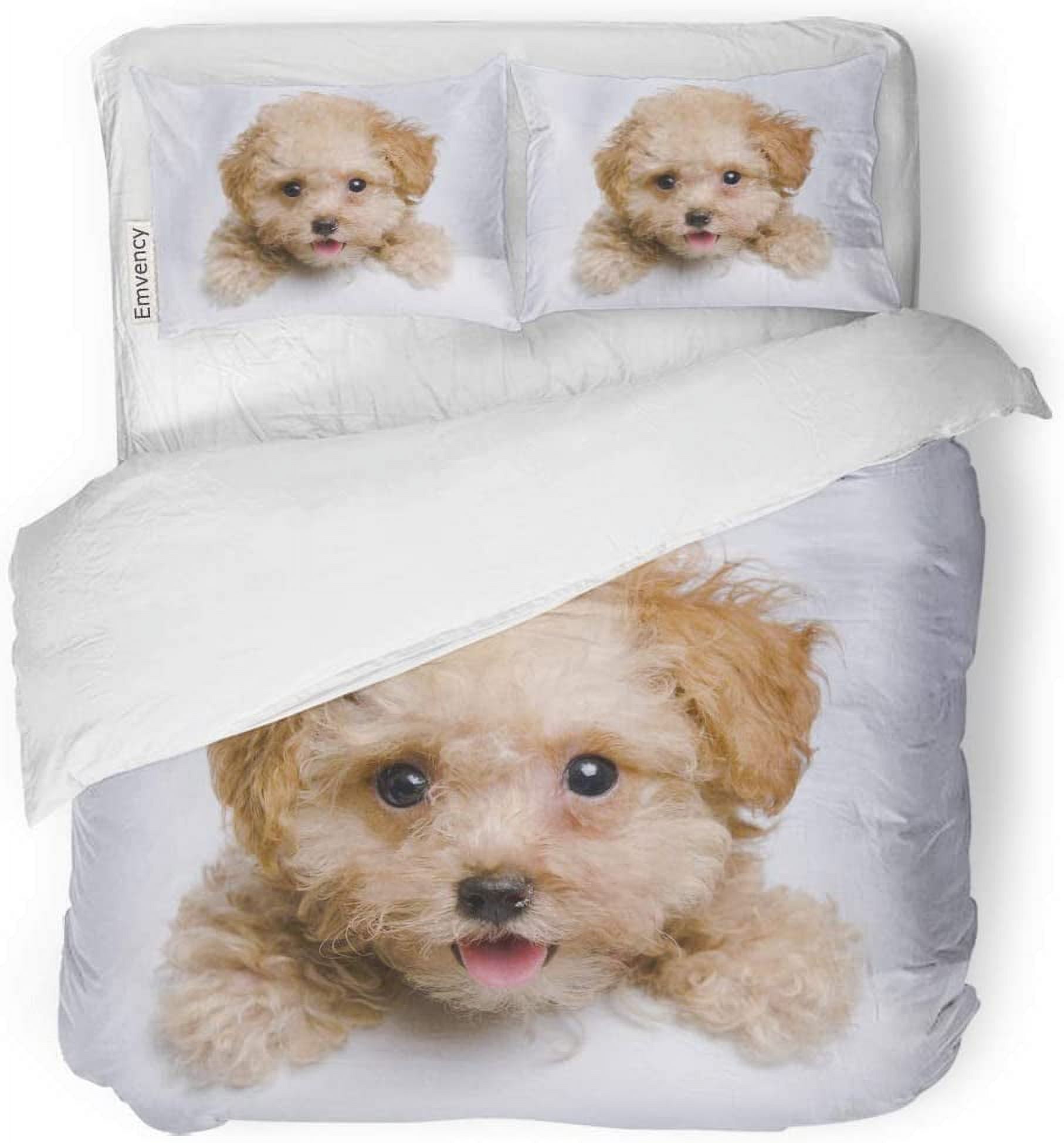 KXMDXA 3 Piece Bedding Set Brown Adorable Cute Bear Toy Teacup Poodle ...