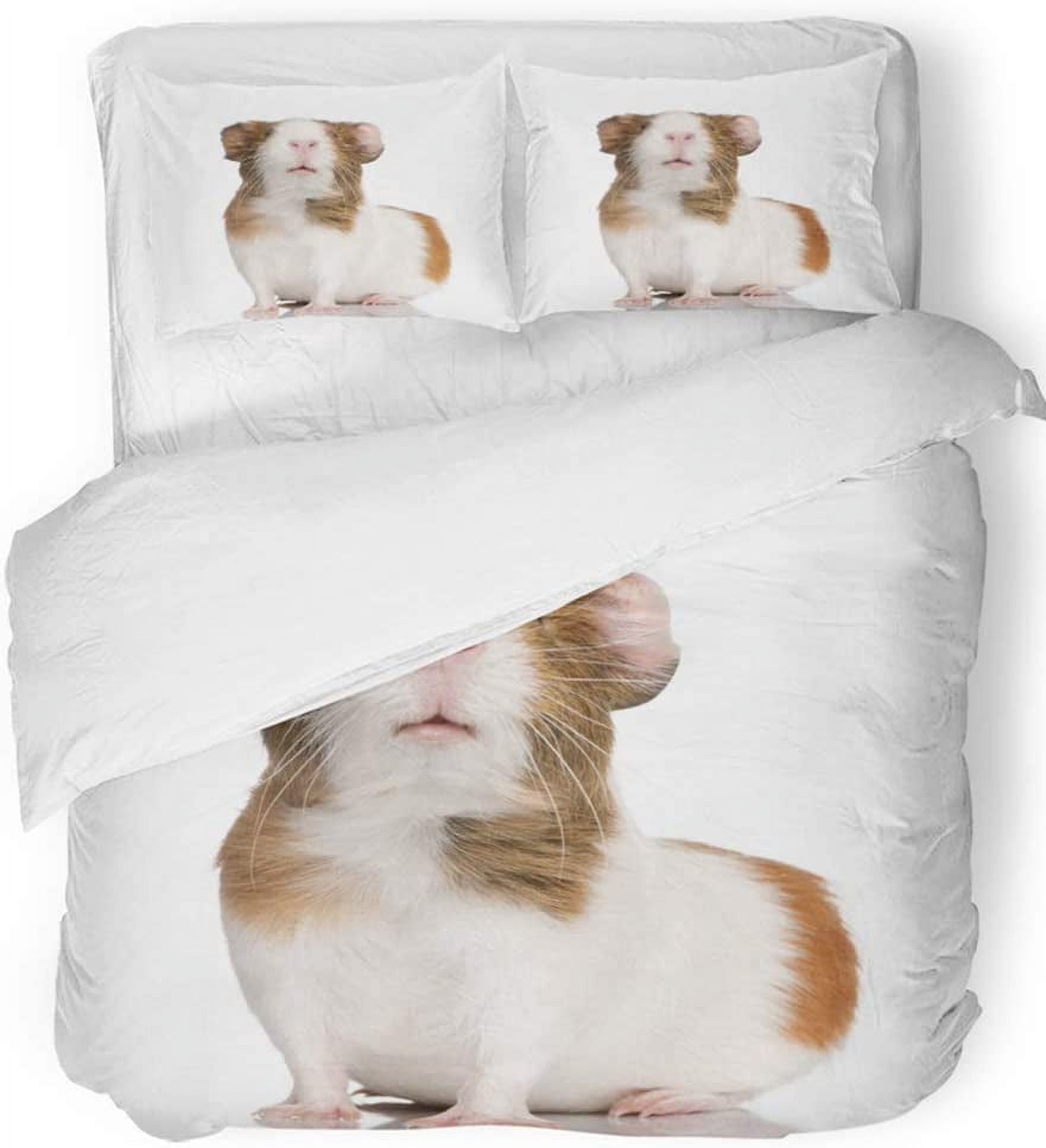 KXMDXA 3 Piece Bedding Set Brown Adorable Guinea Pig Cavia Porcellus in ...