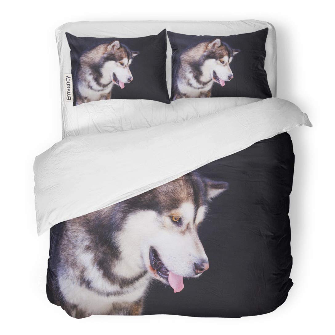 KXMDXA 3 Piece Bedding Set Very Beautiful Dog Malamute Husky in Studio ...
