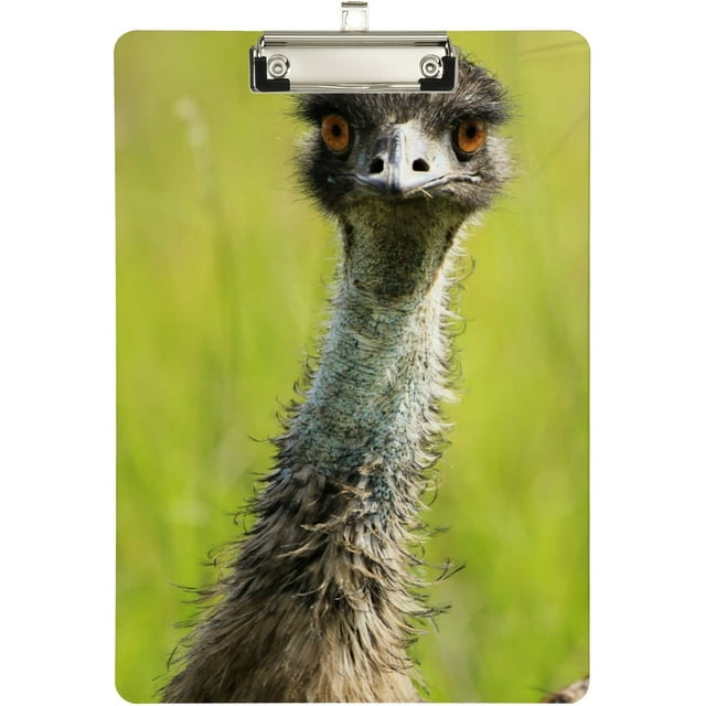 KXMDXA Australian Emu Clipboard Hardboard Wood Nursing Clip Board and ...