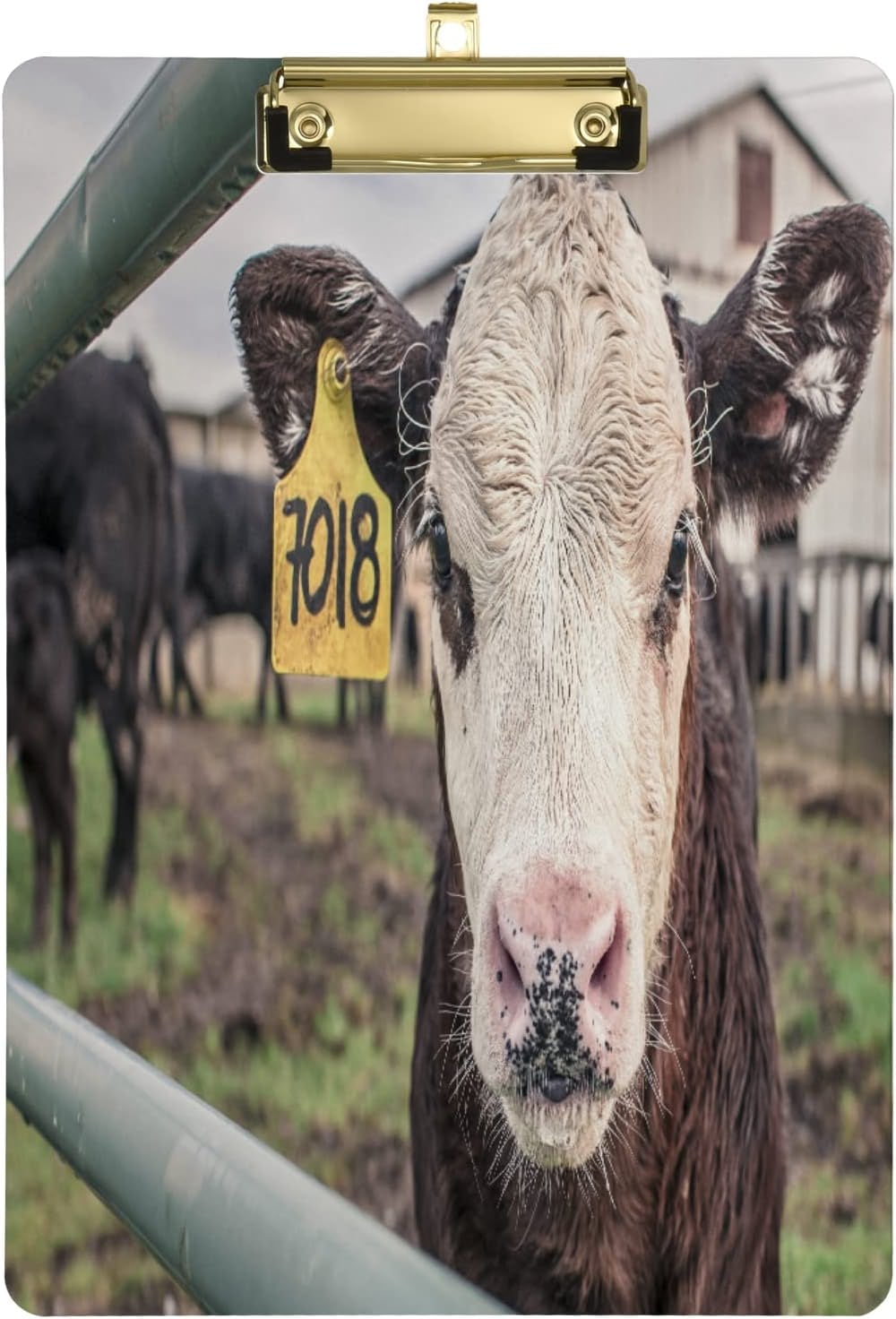 KXMDXA Calf Clipboard Hardboard Wood Nursing Clip Board and Pull for ...