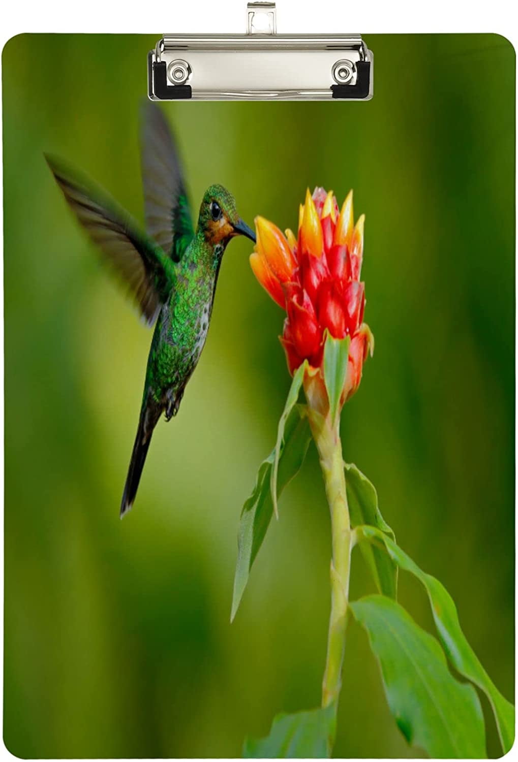 KXMDXA Foraging Hummingbird Clipboard Hardboard Wood Nursing Clip Board ...