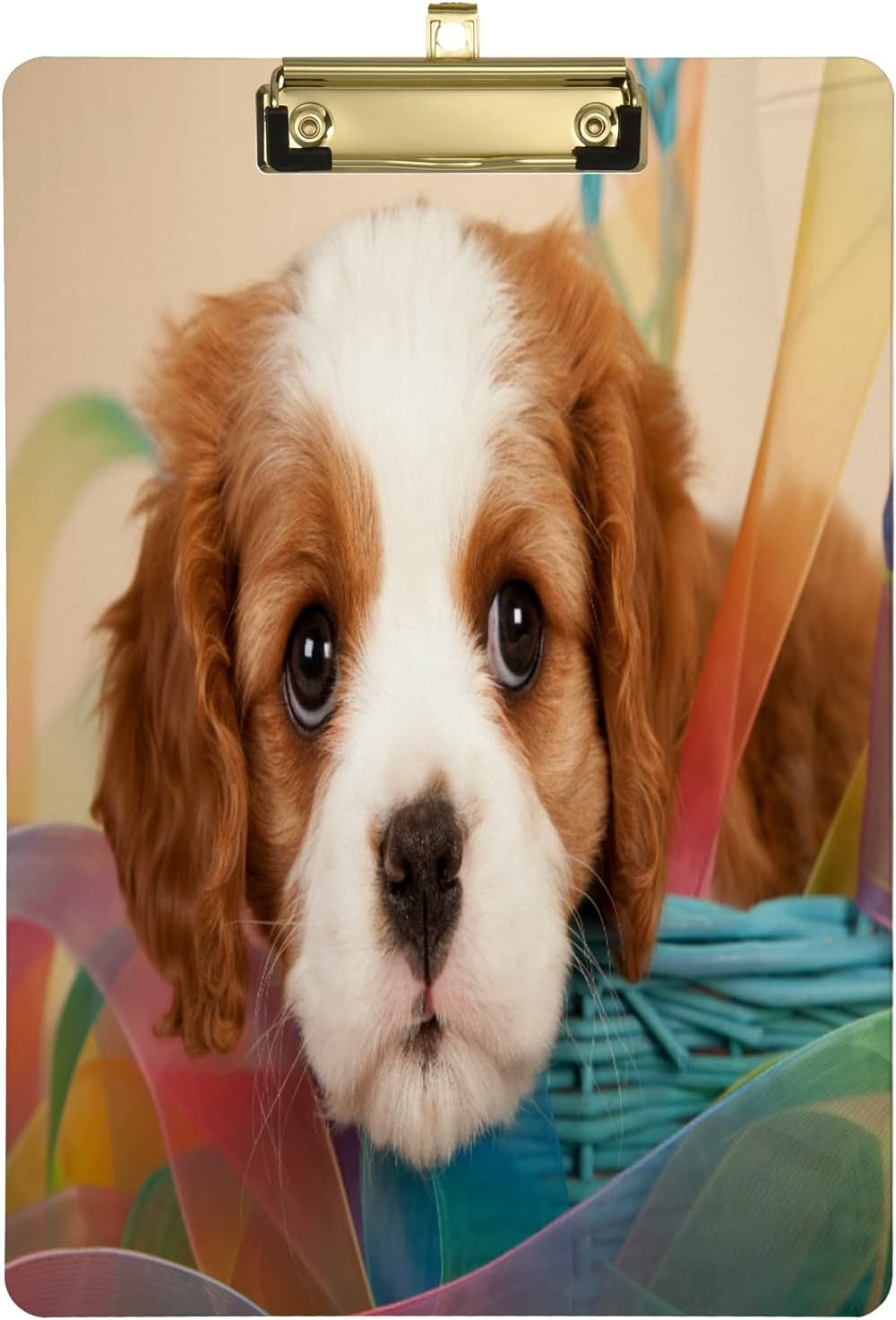 KXMDXA Funny Dog Clipboard Hardboard Wood Nursing Clip Board and Pull ...