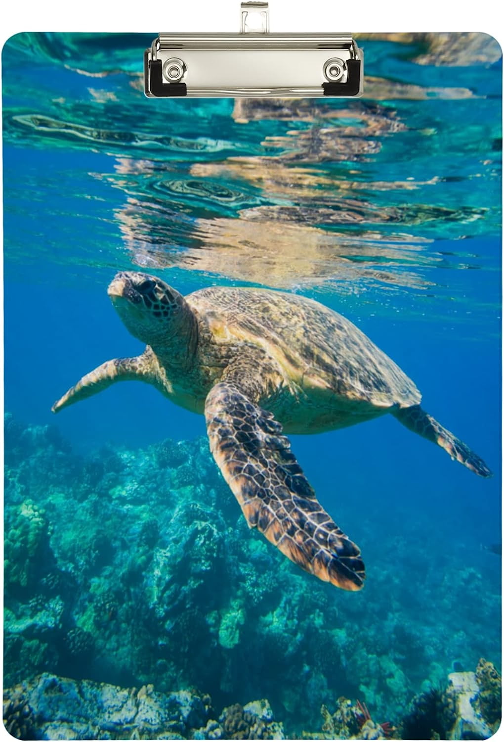 KXMDXA Green Sea Turtle Swimming Ocean Clipboard Hardboard Wood Nursing ...