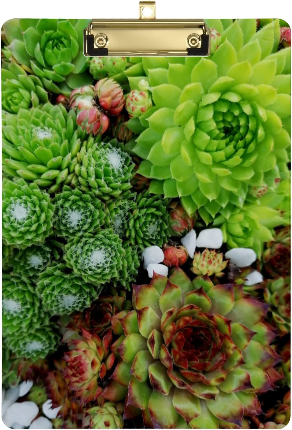 KXMDXA Green Succulents Clipboard Hardboard Wood Nursing Clip Board and ...