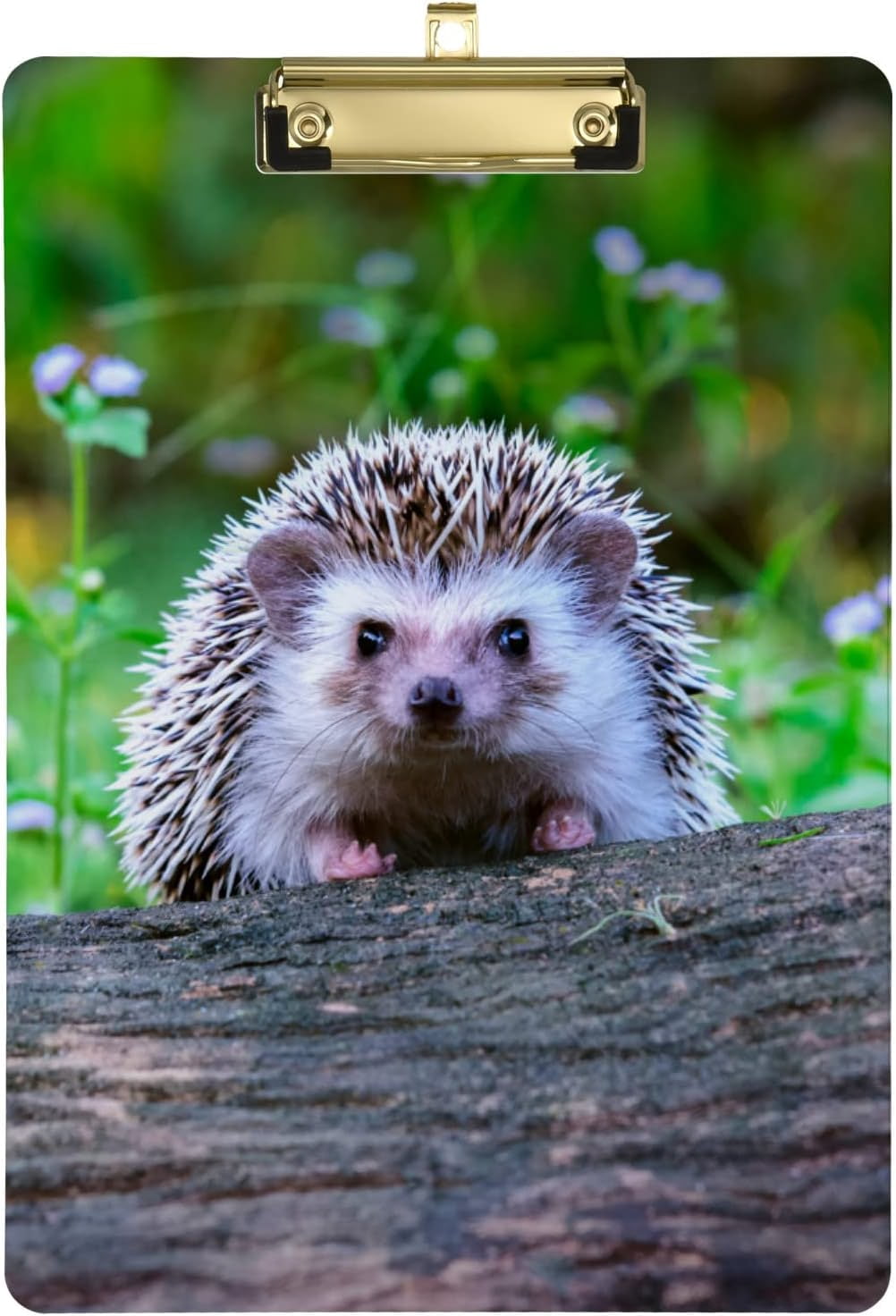 KXMDXA Hedgehog Clipboard Hardboard Wood Nursing Clip Board and Pull ...