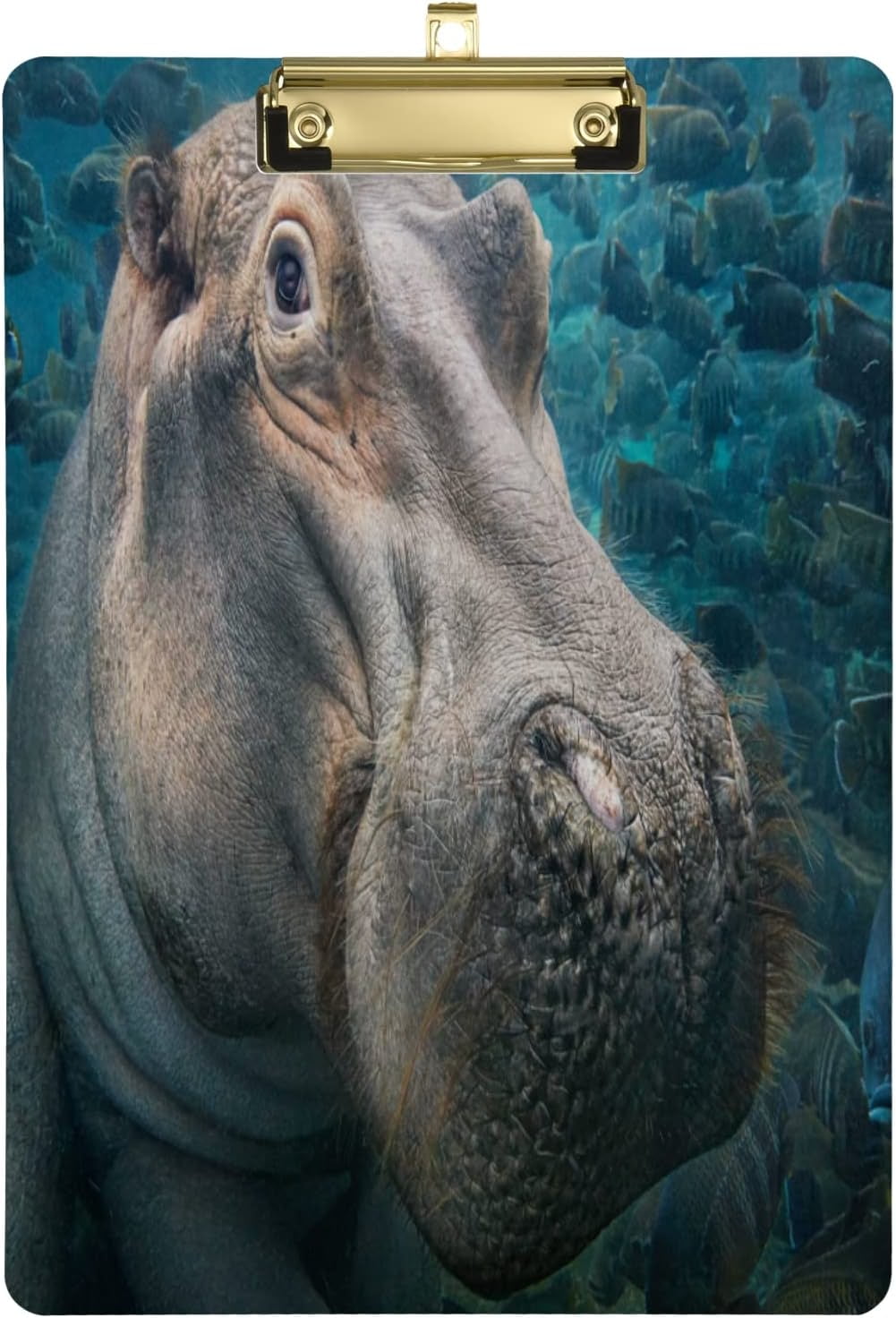 KXMDXA Hippo Fish Clipboard Hardboard Wood Nursing Clip Board and Pull ...