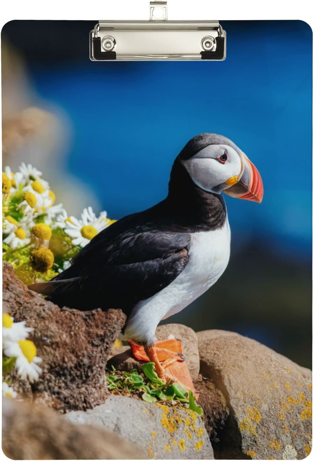 KXMDXA Puffin Seabird Clipboard Hardboard Wood Nursing Clip Board and ...