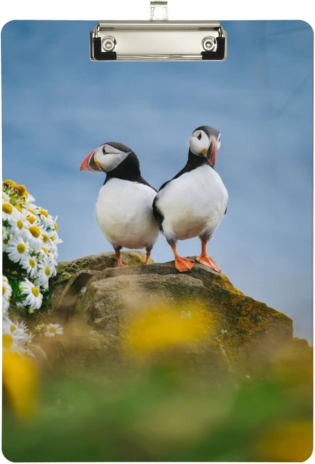 KXMDXA Puffins Daisy Iceland Clipboard Hardboard Wood Nursing Clip ...