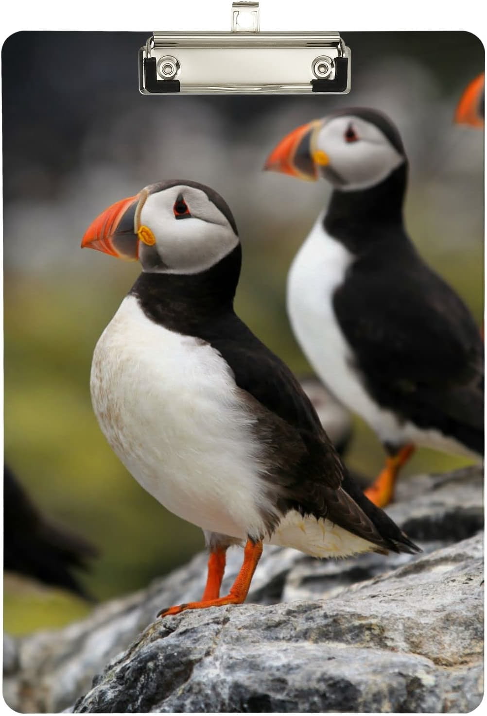 KXMDXA Puffins North Atlantic Clipboard Hardboard Wood Nursing Clip ...