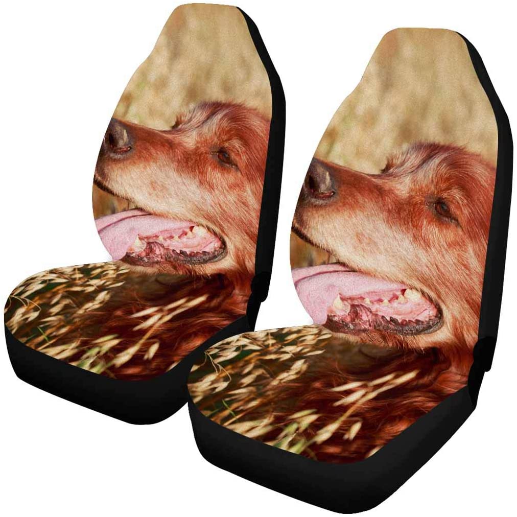 KXMDXA Set of 2 Car Seat Covers Red Setter Dog Universal Auto Front ...