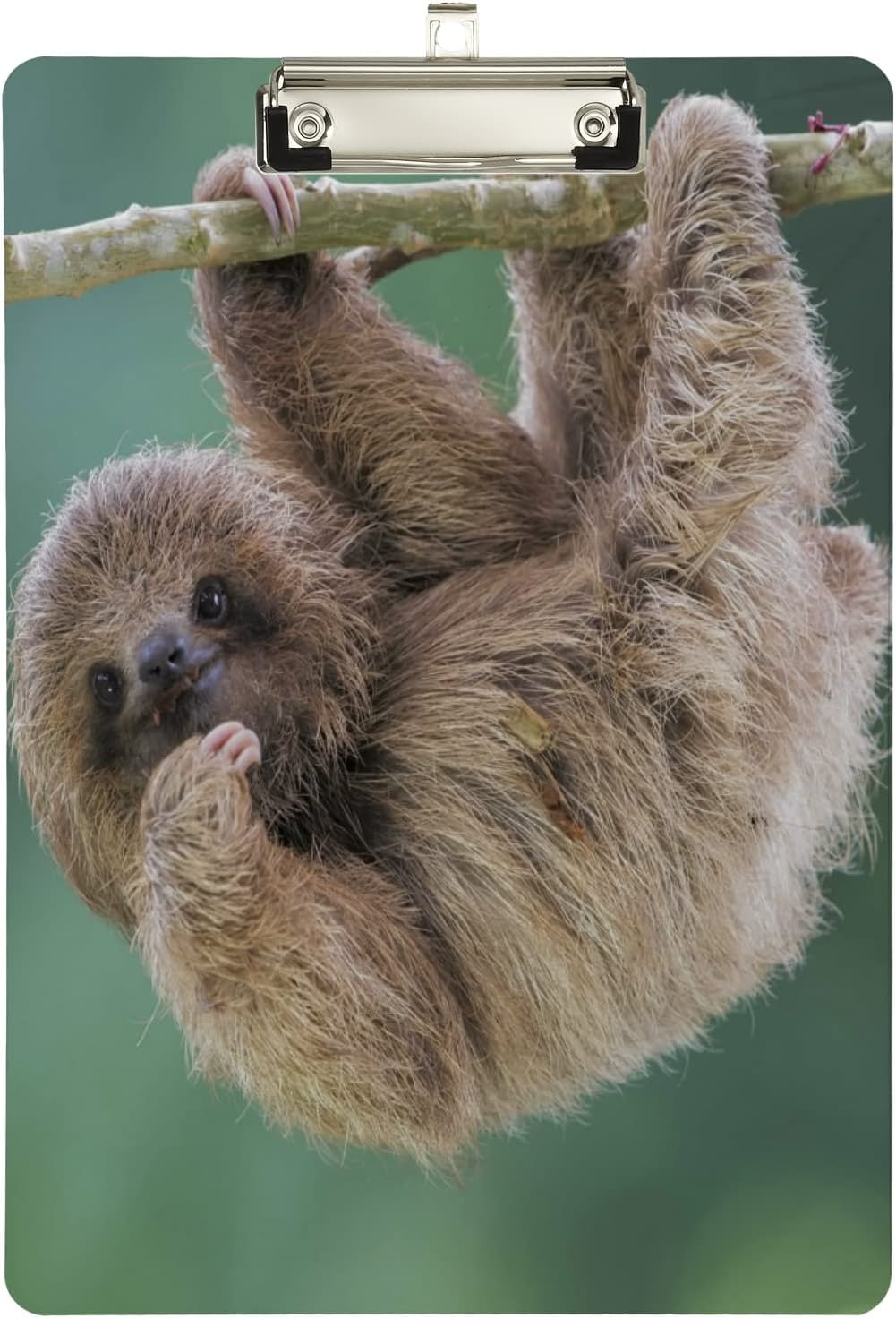 KXMDXA Sloth Clipboard Hardboard Wood Nursing Clip Board and Pull for ...