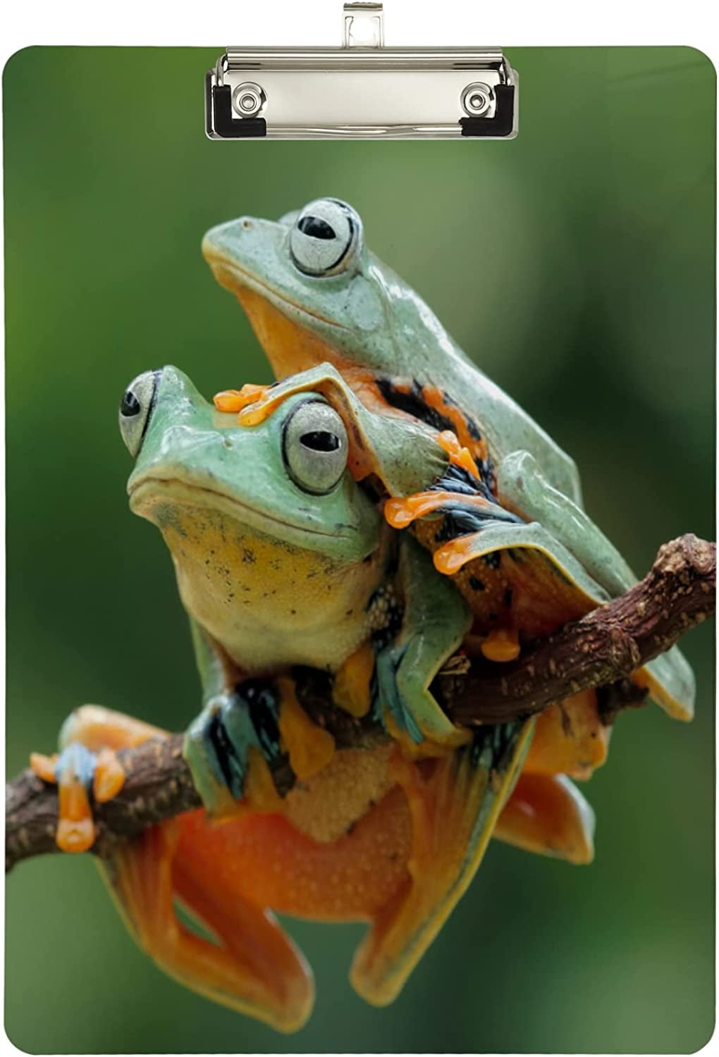 KXMDXA Tree Branch Two Frogs Clipboard Hardboard Wood Nursing Clip ...