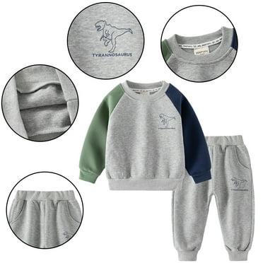 CAIXIA Boys Clothes 2 Piece Sets,Baby Boy Clothes Toddler Boys Fall Winter Outfits Dinosaur ...