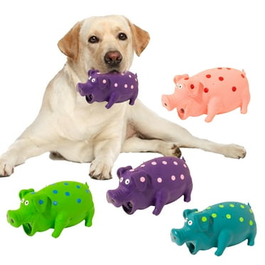 TETOU Squeaky Pig Dog Toy, Small Breed Dog Latex Chew Toys Natural ...