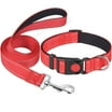 Nite Ize Raddog All-In-One Collar + Leash Combo, Dog Collar With Built ...