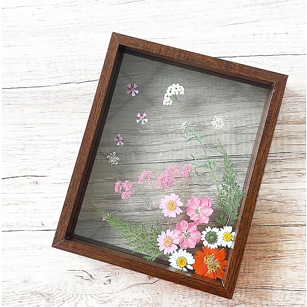 KYAIGUO Glass Photo Frame Double-Sided Specimen Frame Desktop Ornaments ...