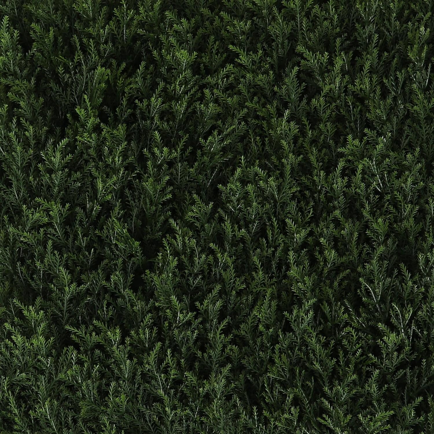 KYUTR Greenery Panel - Artificial Hedge Wall - Fake Plant Wall Backdrop ...