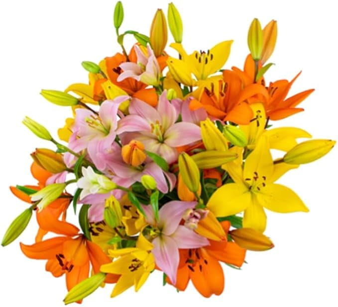 KaBloom : 10 Rainbow lilies with Vase, Next-Day Delivery, Gift for ...