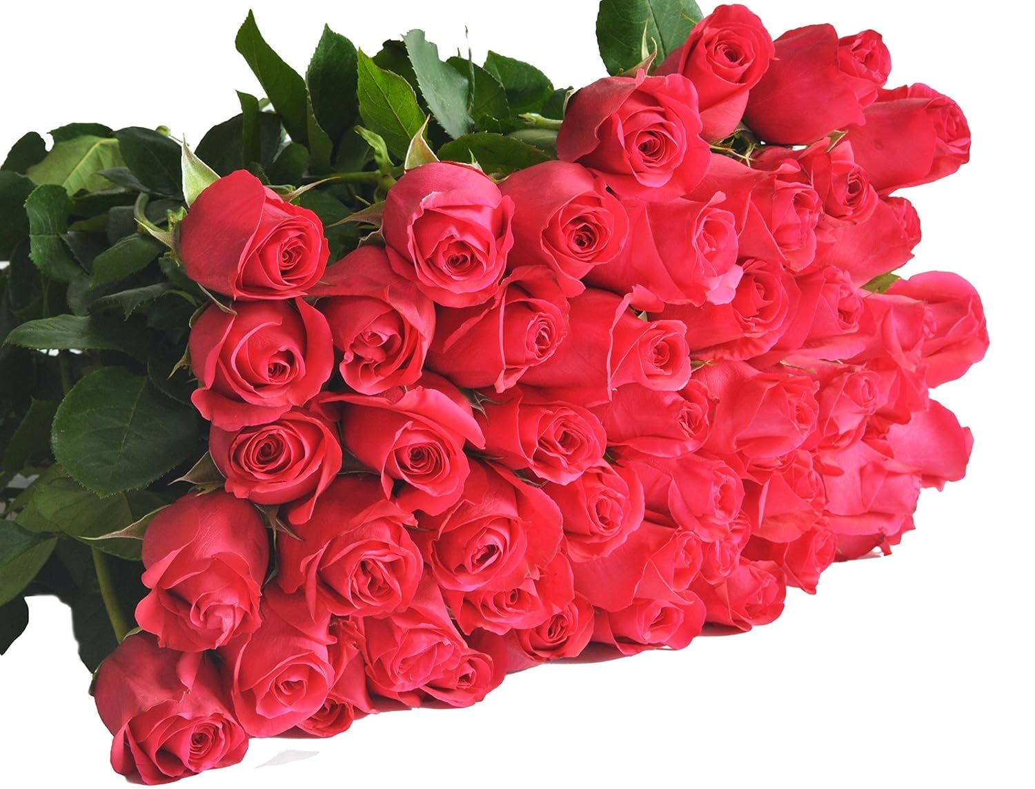 KaBloom :100 Hot Pink Roses, Next-Day Delivery, Gift for Every Occasion. - Walmart.com