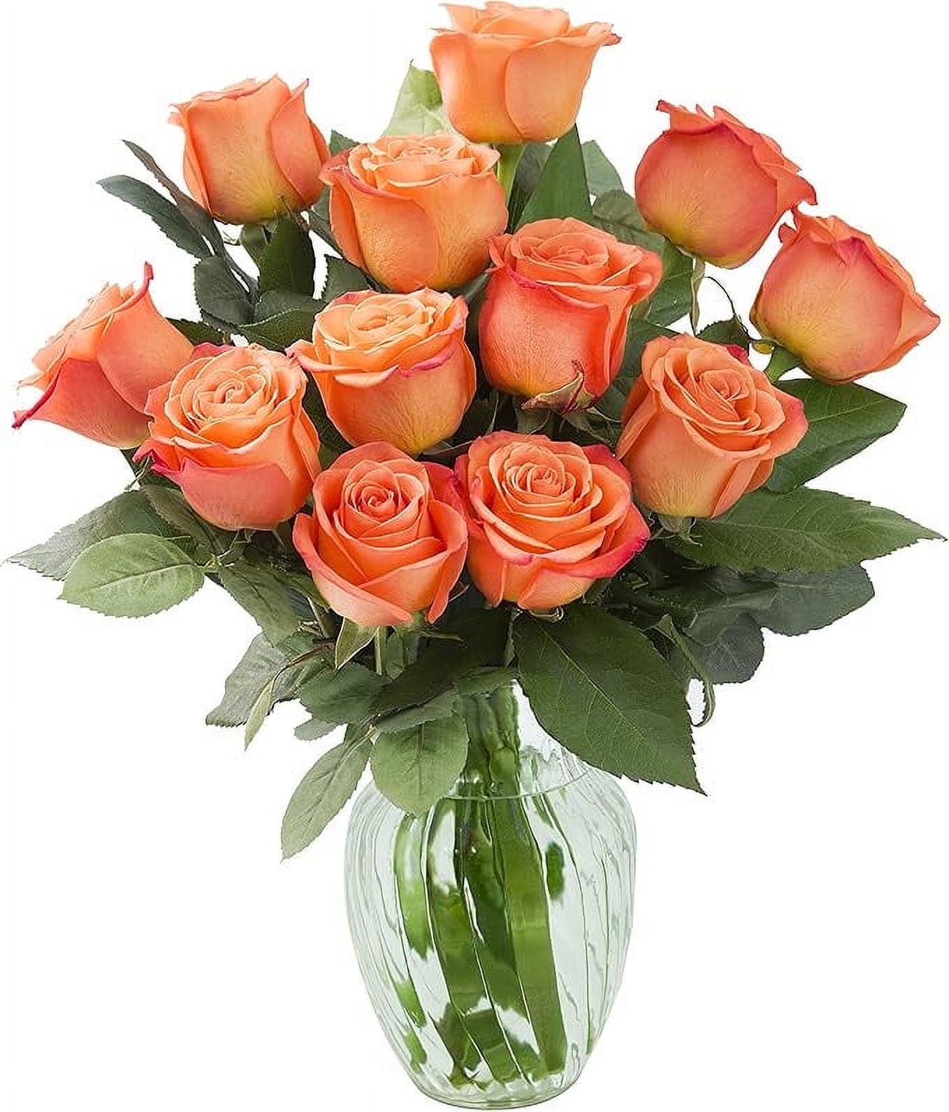 KaBloom : 12 Orange Roses, 3 Greens, and Vase, Next-Day Delivery, Gift for Every Occasion ...