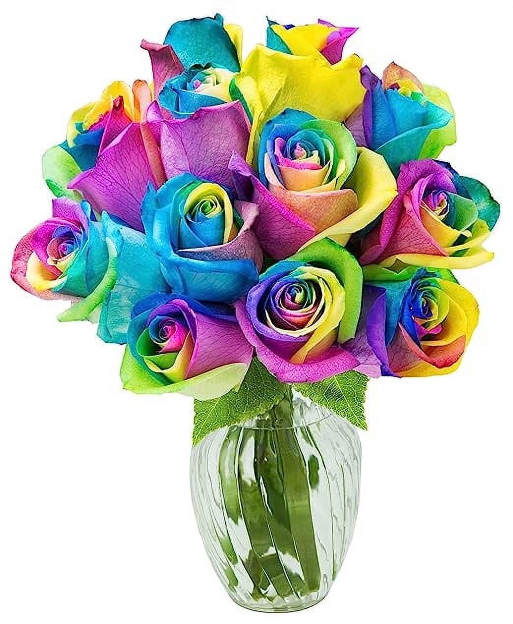 KaBloom : 12 Rainbow Roses With Vase, Next-Day Delivery, Gift for Every ...