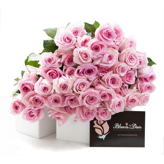 KaBloom : 50 Pink Roses (Long Stem - 50cm) - Farm Direct Wholesale ...