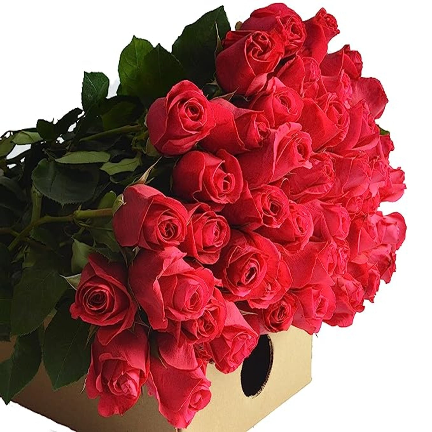 KaBloom :50 Red Roses, Next-Day Delivery, Gift for Every Occasion ...