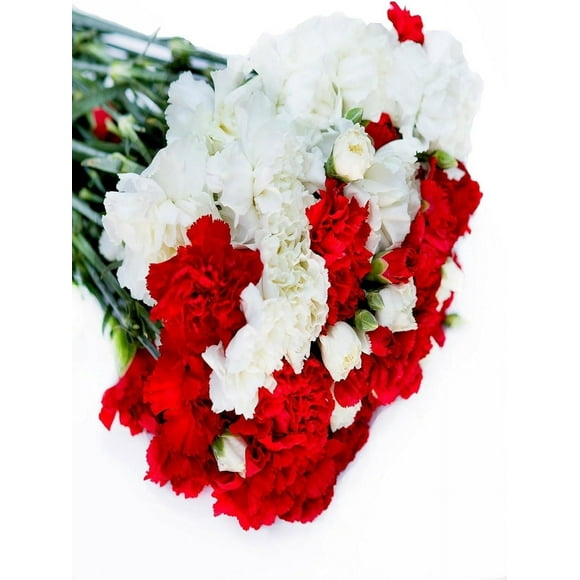 Carnations in All Flowers - Walmart.com