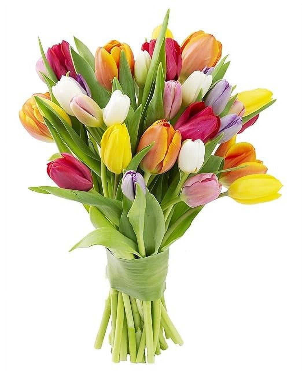 KaBloom : 6 Orange Tulips, 6 Yellow Tulips, 8 Tulips Next-Day Delivery, Gift for Every Occasion ...