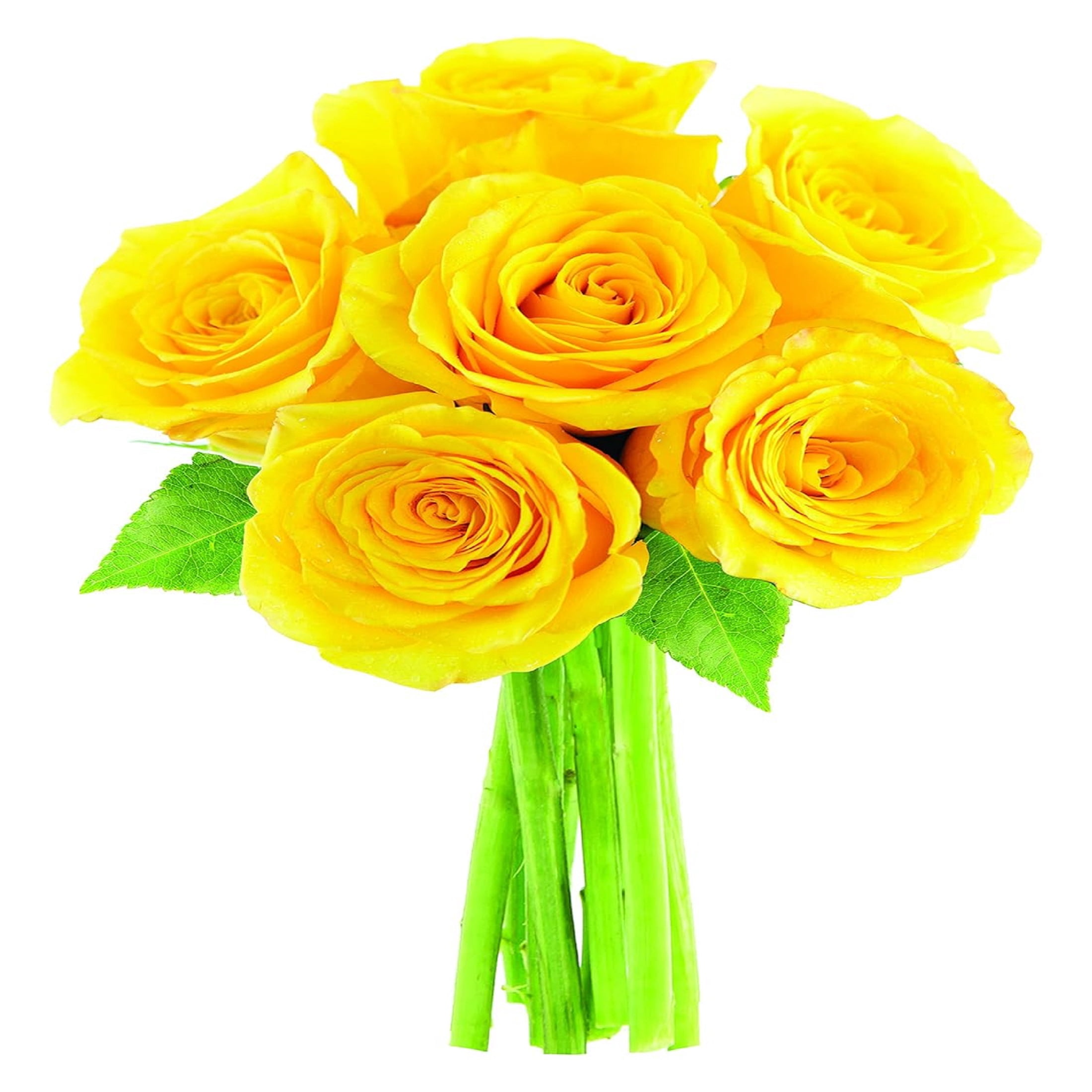 KaBloom : 6 Yellow Roses Without Vase, Next-Day Delivery, Gift for ...