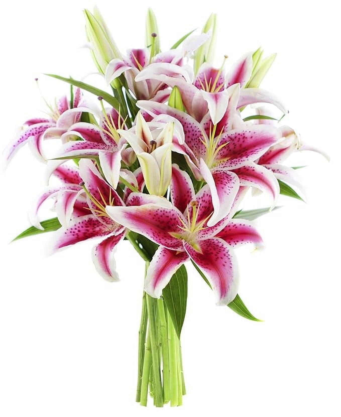 KaBloom : 8 Stargazer Lilies and 5 Israeli Ruscus greens in vase, Next ...