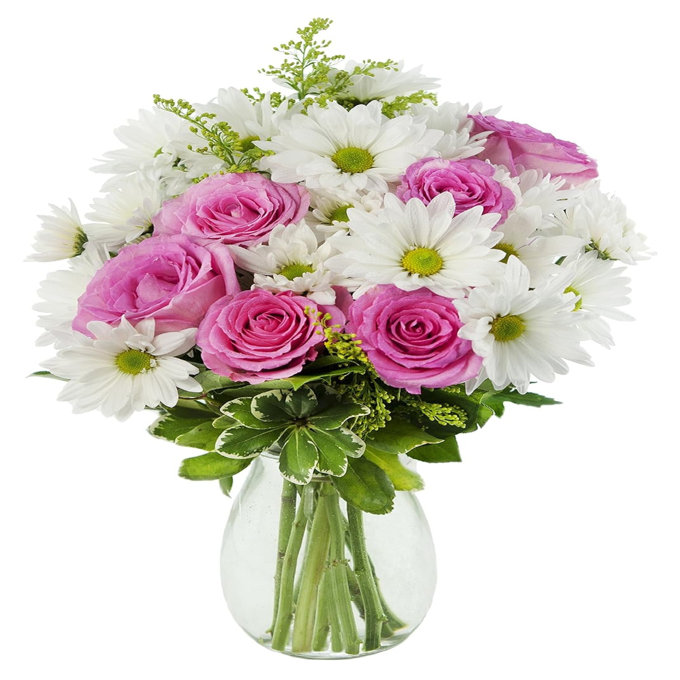 KaBloom : 8 White Daisy Poms, 6 Pink Roses, 3 Yellow Solidago Asters, and 3 Greens without vase ...