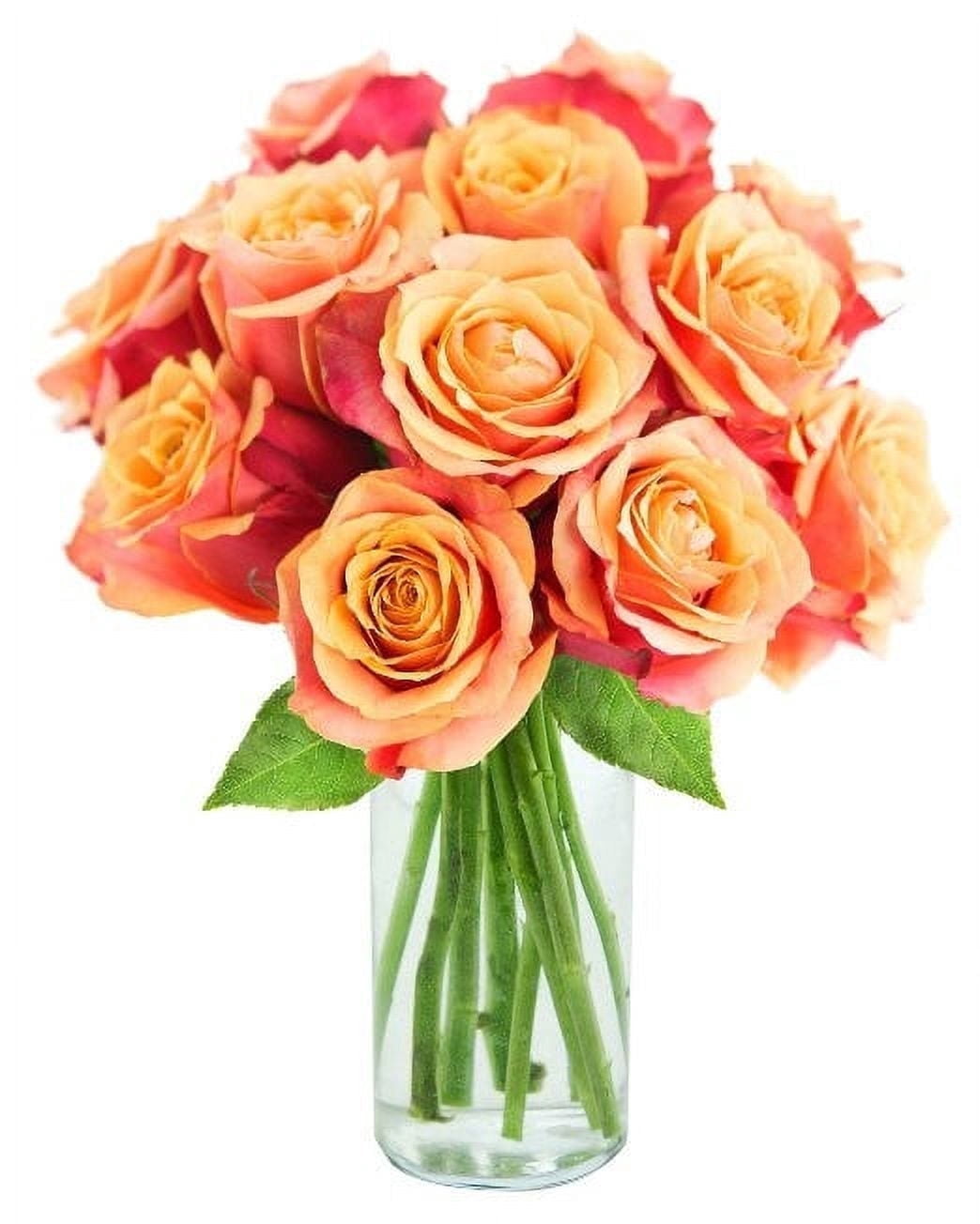 KaBloom : Bouquet of 12 Orange Roses, Next-Day Delivery, Gift for Every ...