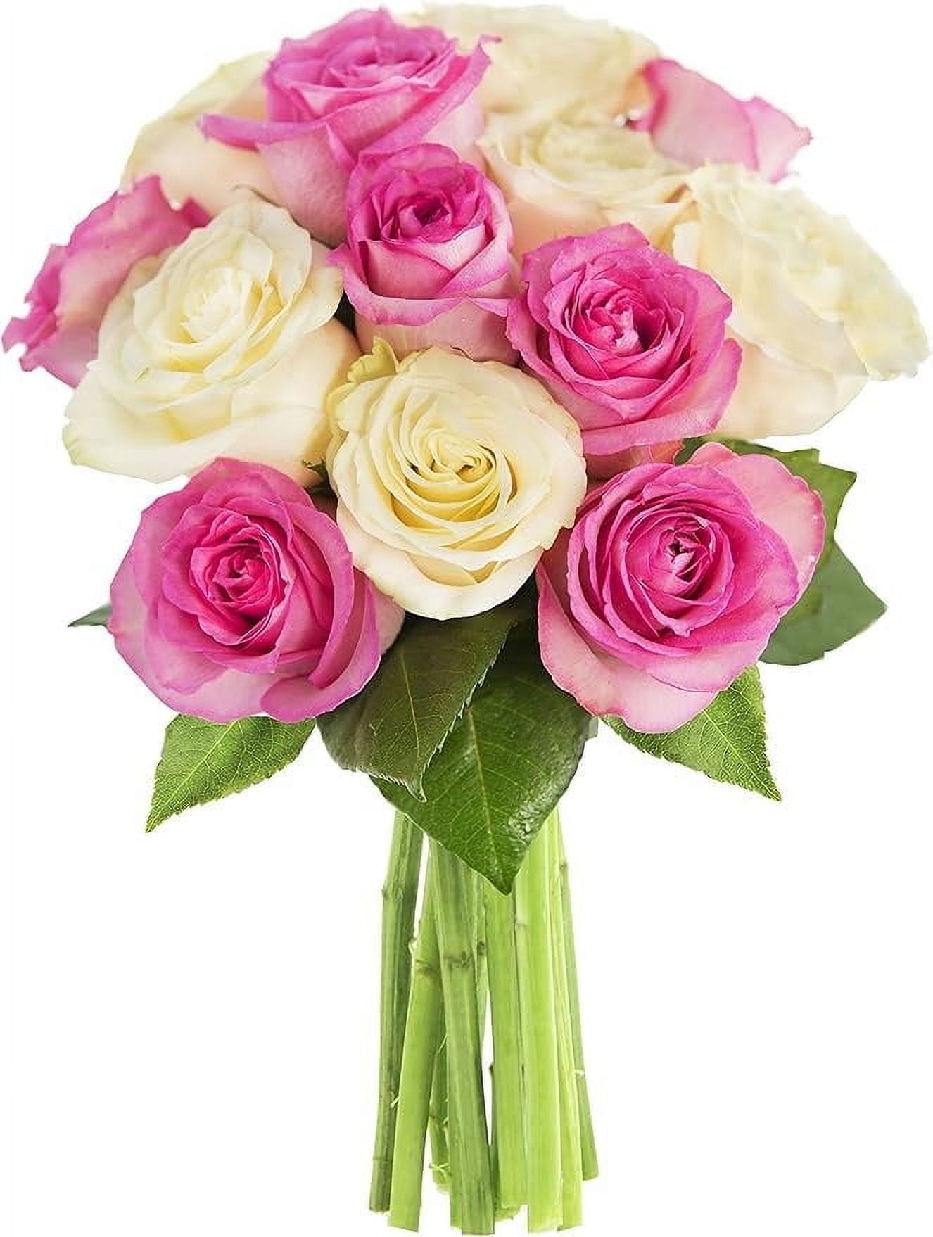KaBloom, Bouquet of 6 Pink Roses, 6 White Roses, Fresh Flowers, Next ...