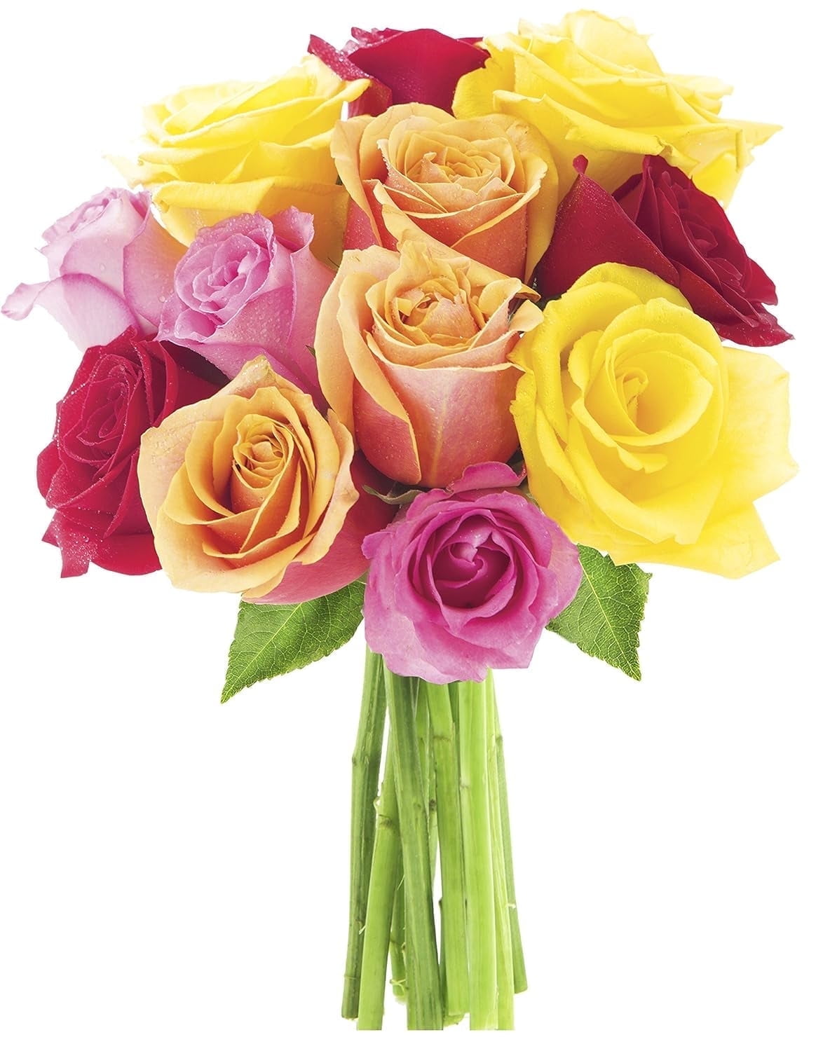 KaBloom : Bouquet of Fresh 12 Assorted Roses, Next-Day Delivery, Gift ...