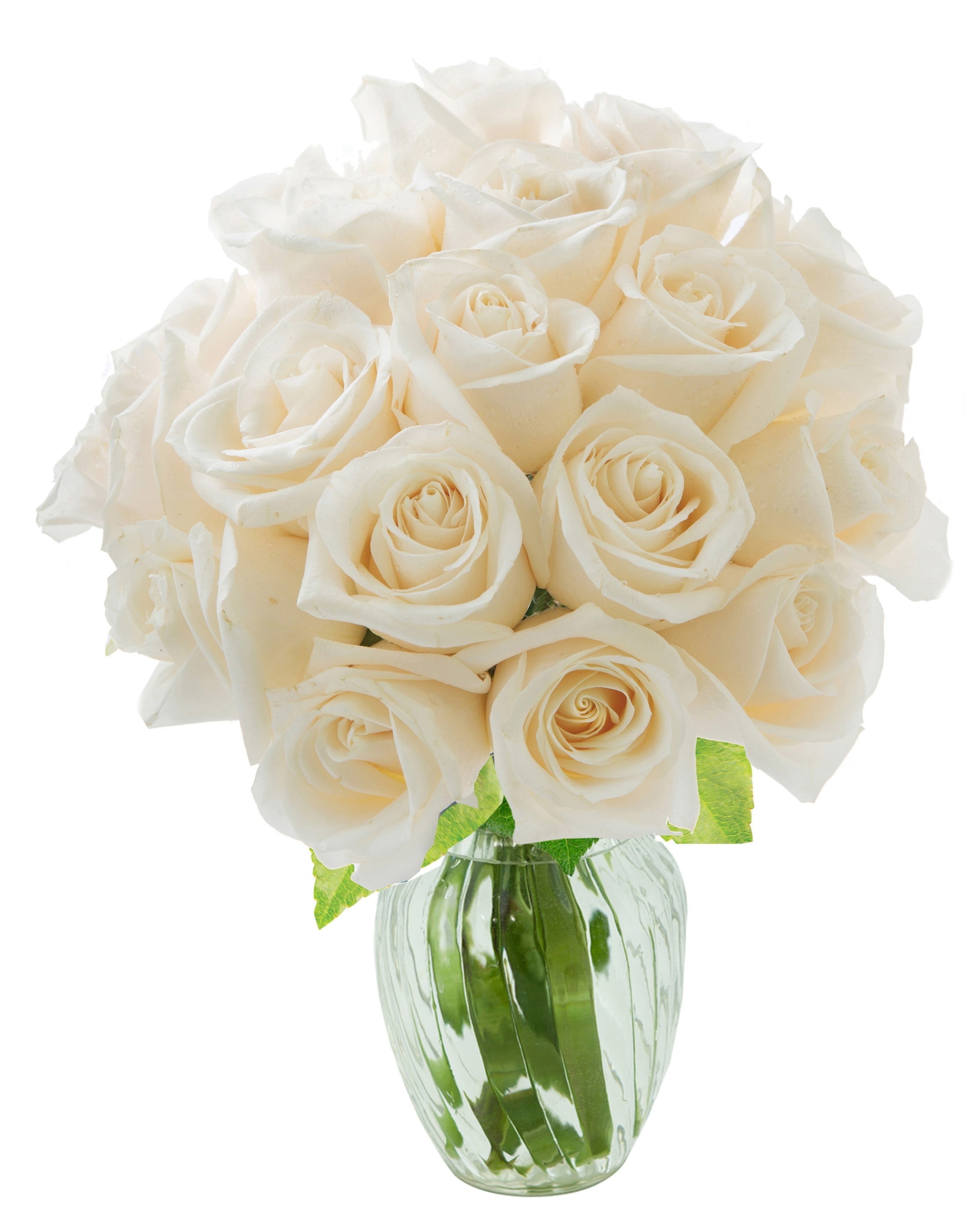 KaBloom : Bouquet of Fresh 18 White Roses with Vase, Next-Day Delivery, Gift for all occasions ...