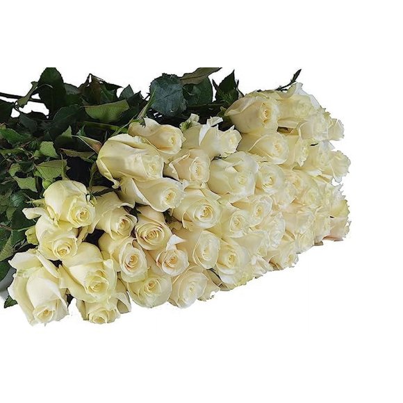 Roses in All Flowers - Walmart.com
