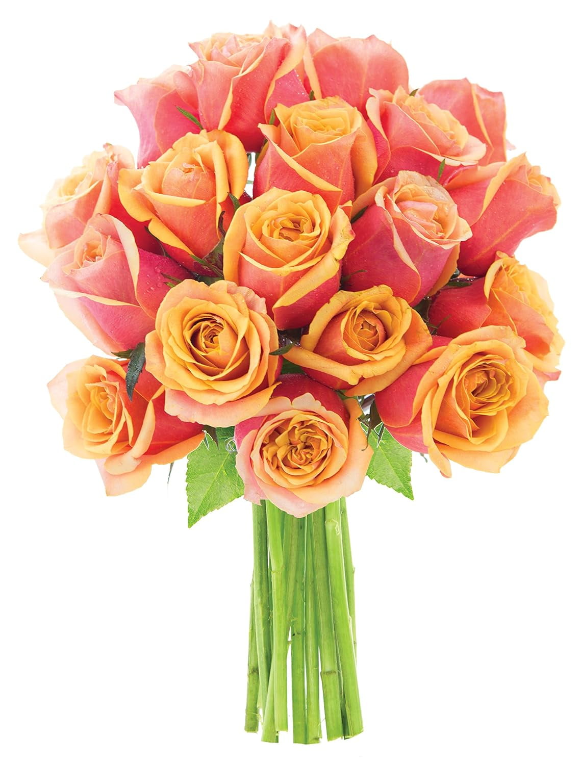 KaBloom: Fall Collection-Bouquet of 18 Orange Roses,Next-Day Delivery ...