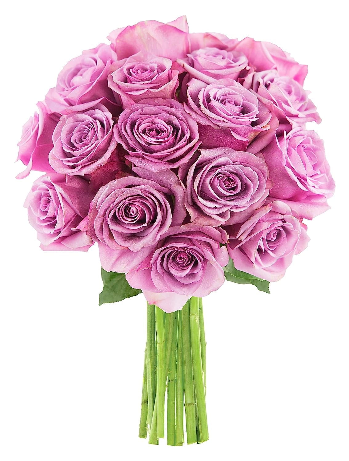 KaBloom: Fall Collection- Bouquet of 18 Purple Roses in Vase,Next-Day Delivery, Gift of Fresh ...