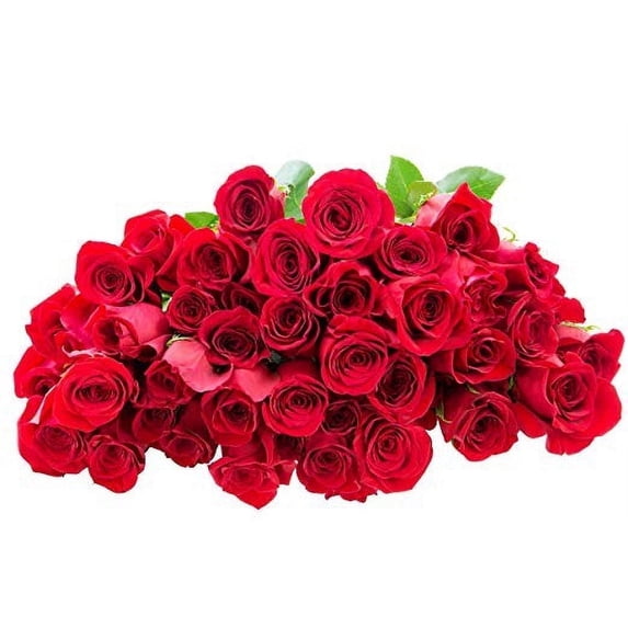 KaBloom: Fall Collection- Bouquet of Fresh 50 Red Roses, Next-Day ...