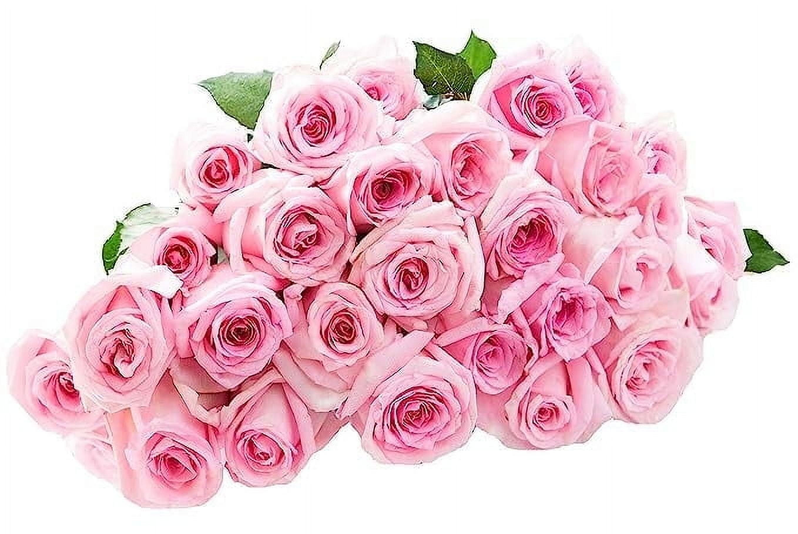 KaBloom : Fall Collection-Bulk 100 Pink Roses, Next-Day Delivery, Gift of Fresh Flowers for ...