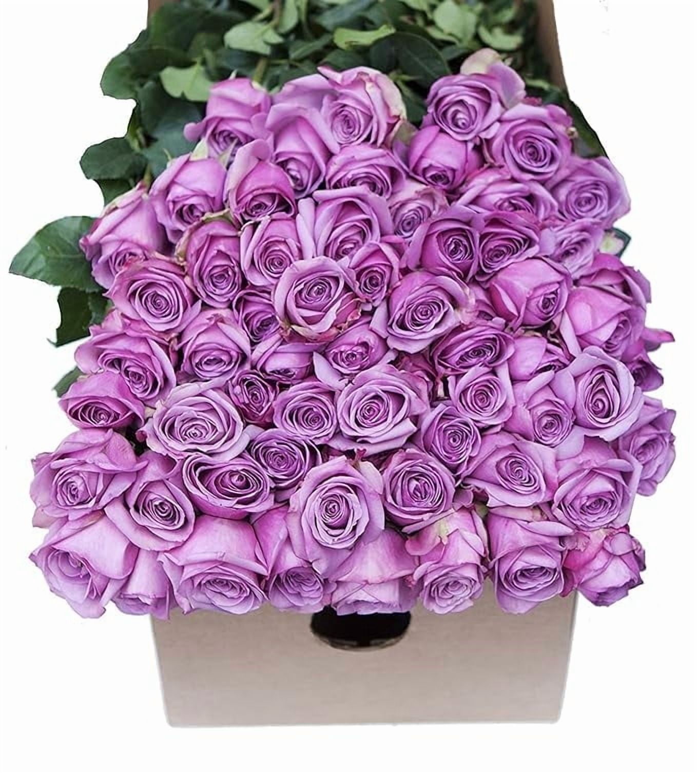 KaBloom Fresh Cut Flowers, 100 Purple Roses with Vase, Fragrant, Gift ...