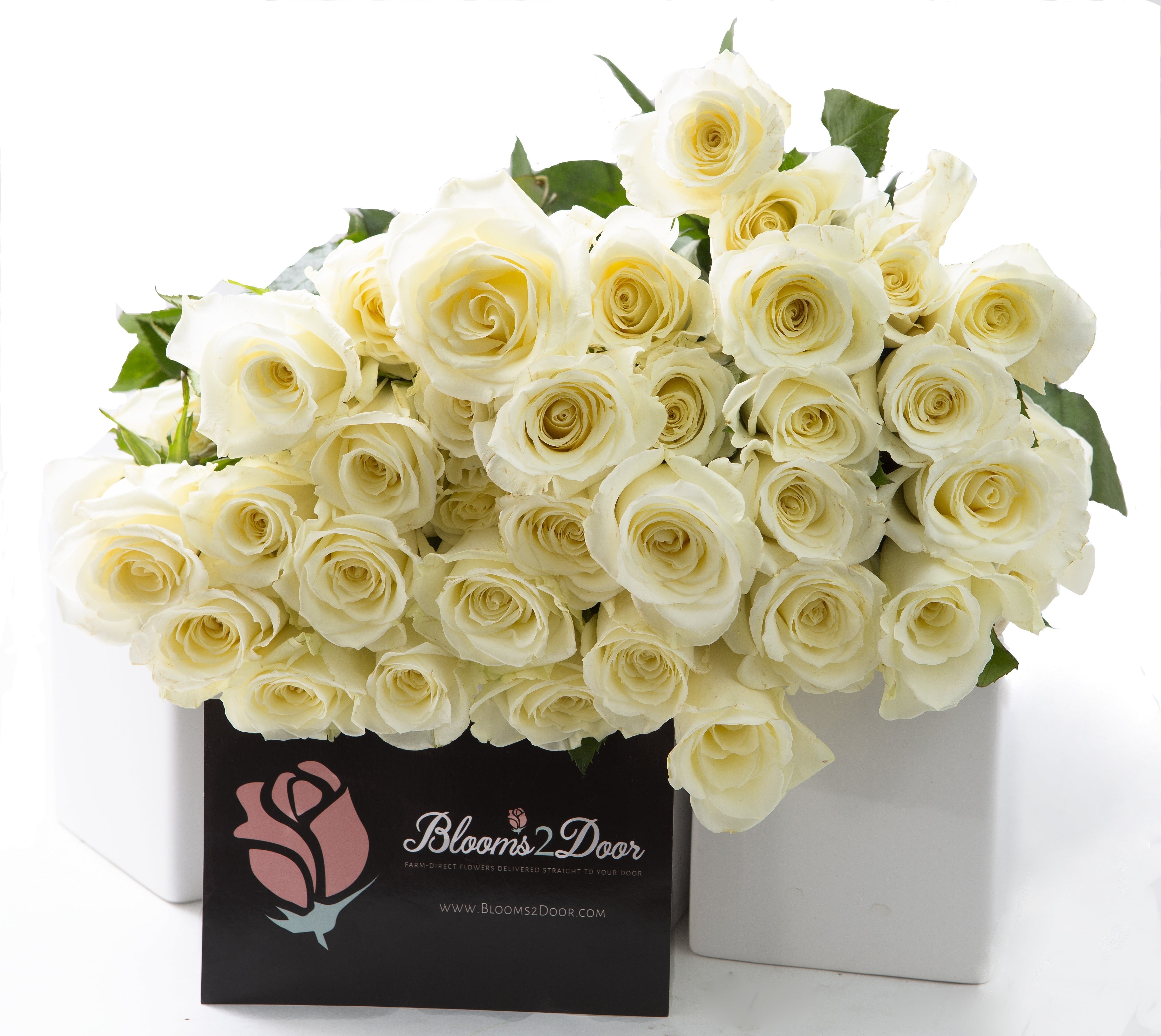 KaBloom : Fresh Wholesale 50 White Roses, Next-Day Delivery, Gift for ...