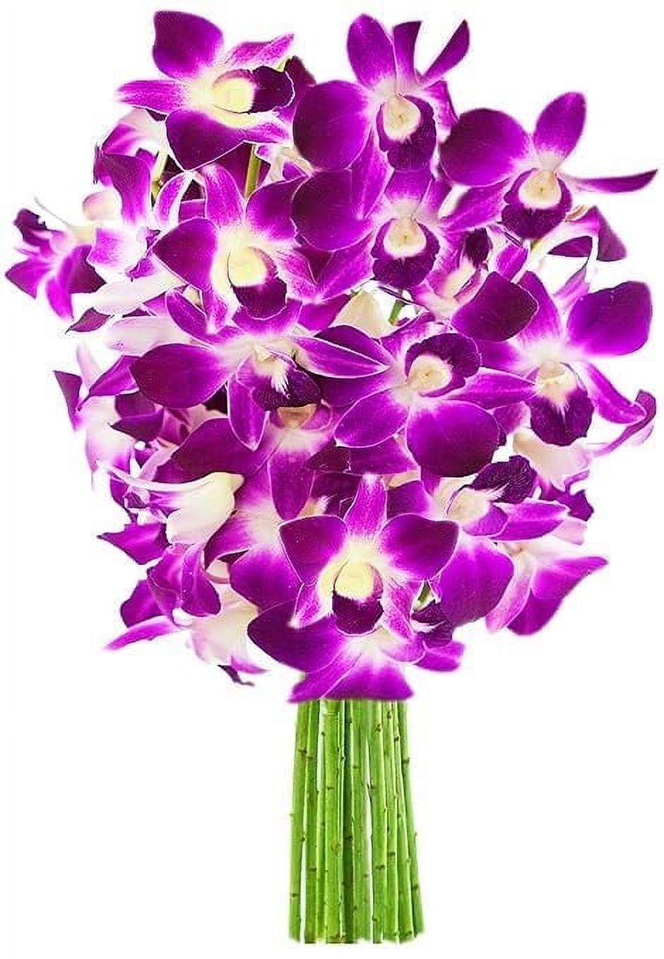 KaBloom: Fall Collection-Bouquet of 10 Purple Dendrobium Orchids,Next ...