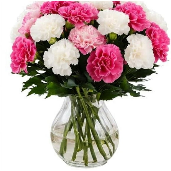 Carnations in All Flowers - Walmart.com