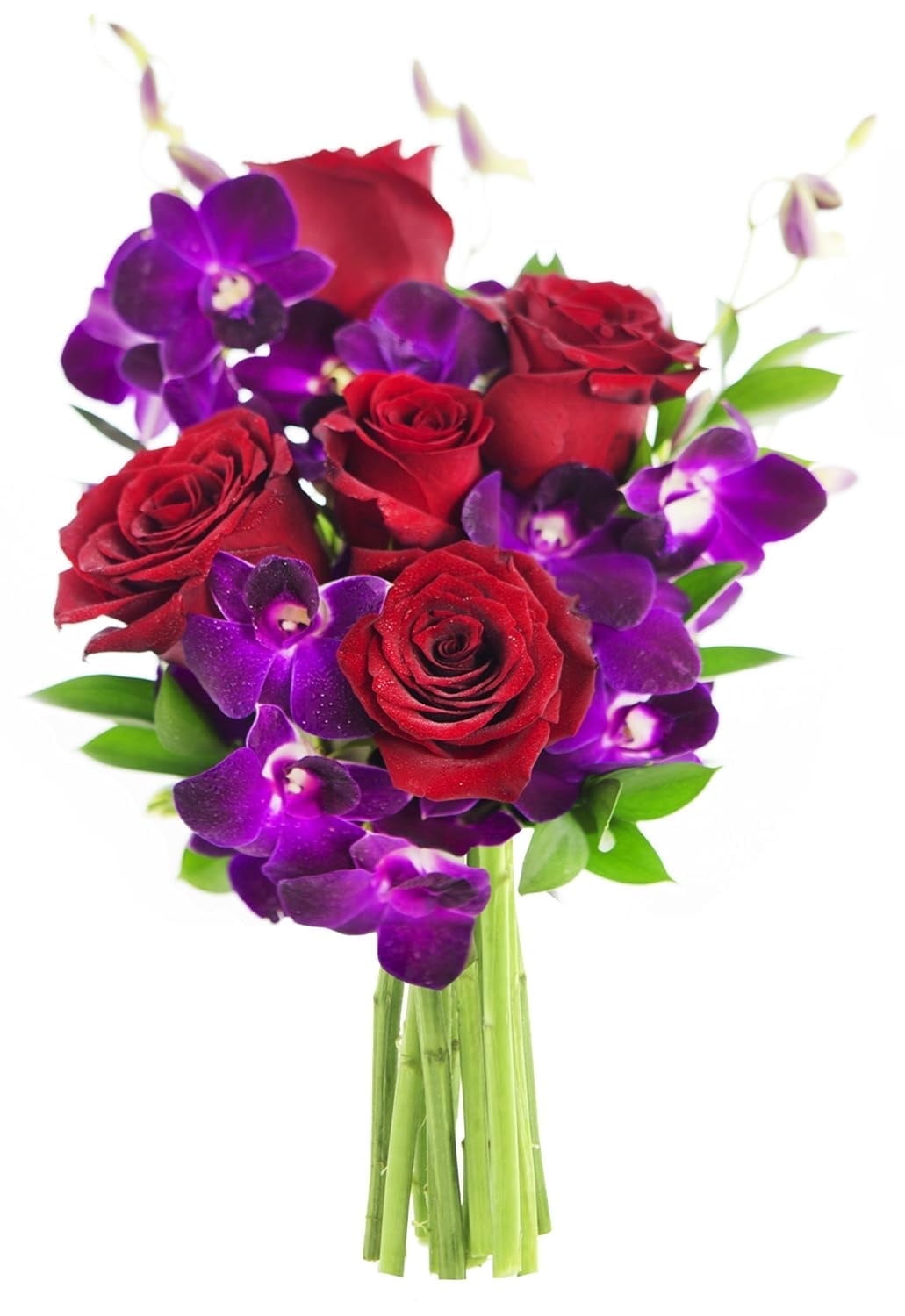 KaBloom : 5 Red Roses, 5 Purple Dendrobium orchids, and 5 Israeli ...