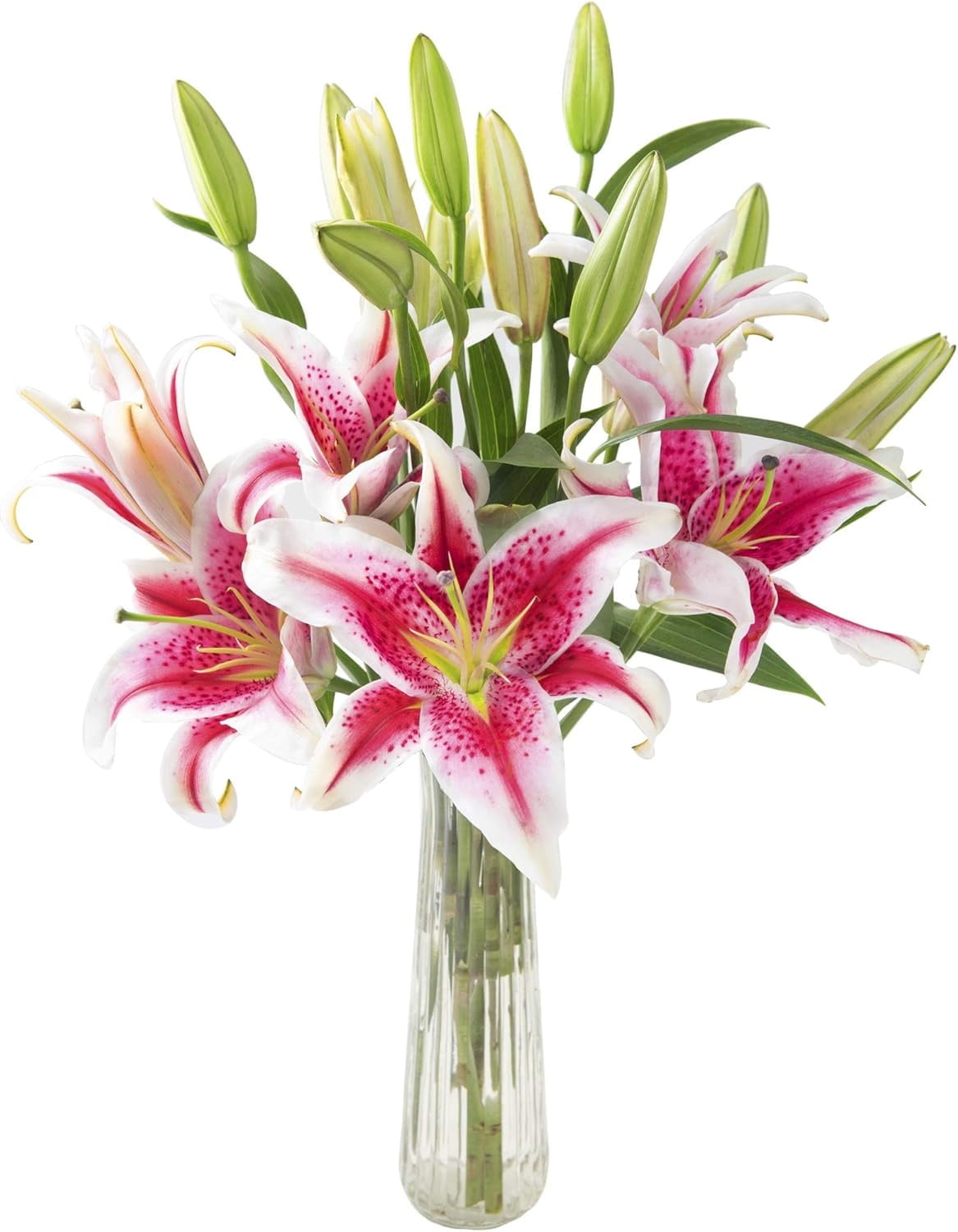 KaBloom Fresh Cut Flowers Bouquet of 5 Pink Lilies with Vase, Fragrant ...